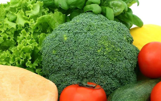 Planting Season - St. George Food Pantry